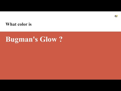 Bugman's Glow color #cd5b45 hex color - Orange color - Cool color cd5b45