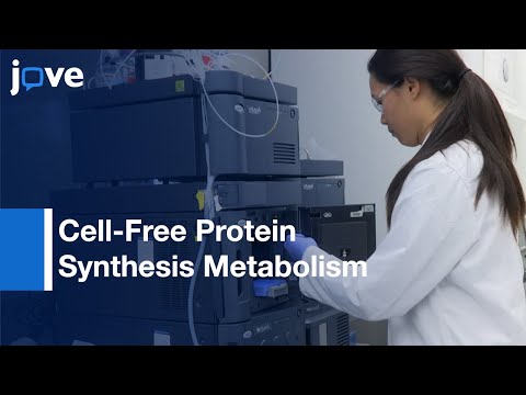 Cell-Free Protein Synthesis Metabolism Quantification by RPLC-MS | Protocol Preview