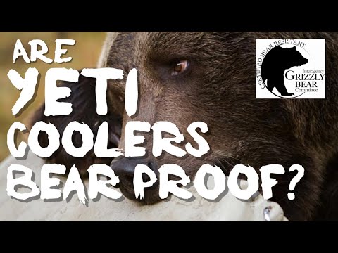 Are Yeti Coolers Bear Proof? Plus How Are They Tested