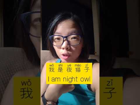 How to Say Night Owl in Chinese #learnchinese #learnchineseforbeginners #learnchineseincontext