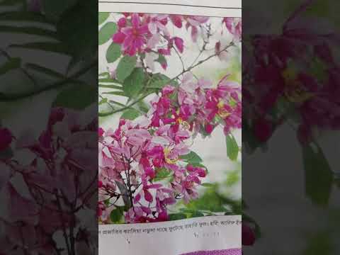Nature #collection from newspaper #Short video