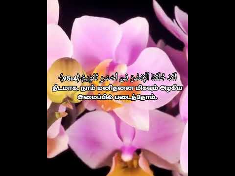 💫💞Surah At-Tin Beautiful Voice | Quran Learning Tamil |#Shorts#Yaseen#QuranTamil#SurahFathiah✨️❤️🤲🥰