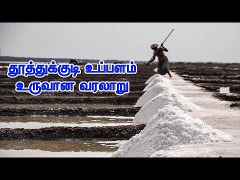 தூத்துக்குடி உப்பளம்  உருவான வரலாறு - | Pincode |[Epi -126] -(17/11/2019) - Promo