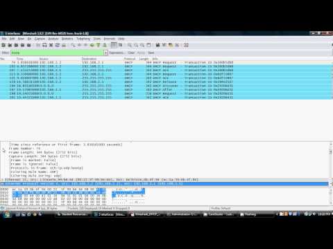 DHCP Wireshark | ecsusamunderhill
