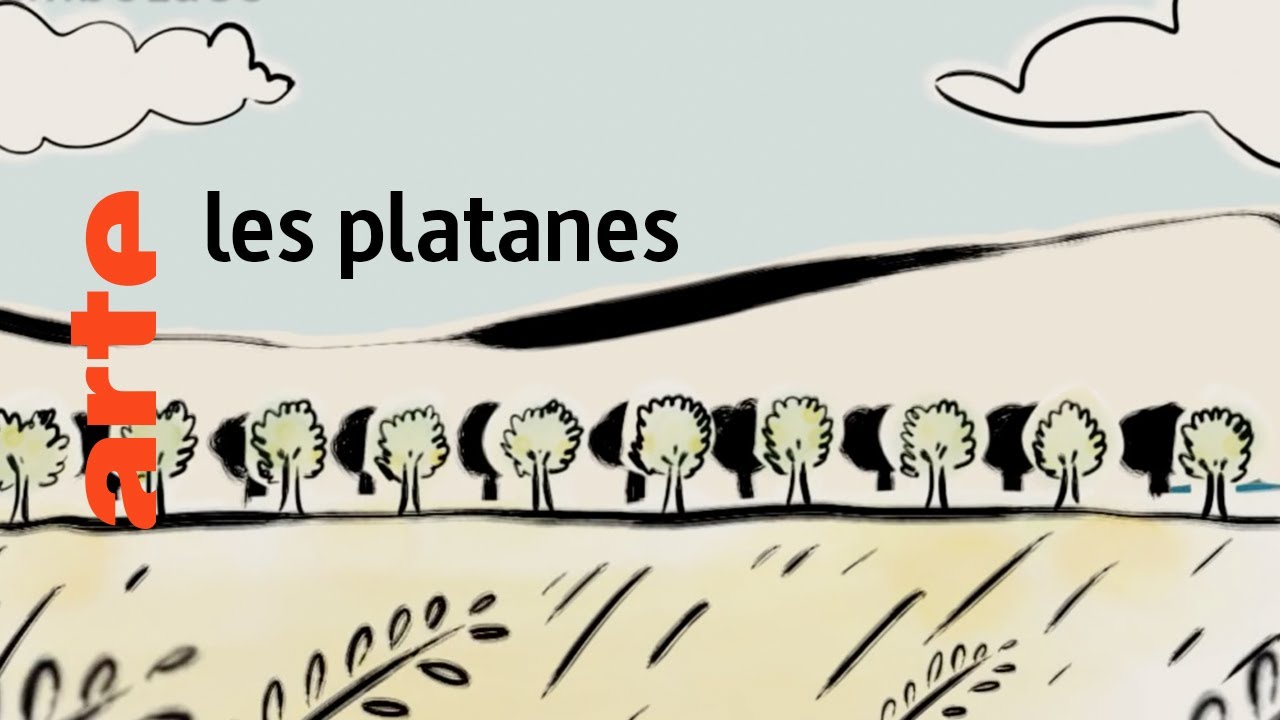 les platanes - Karambolage - ARTE