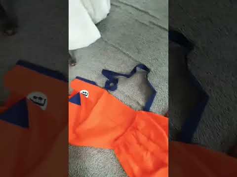 just got Goku costume for Halloween