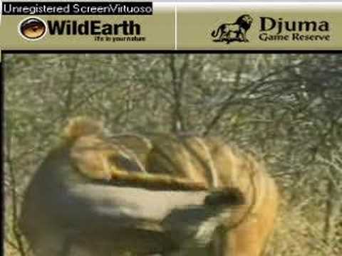 Sunrise drive 080707-10
