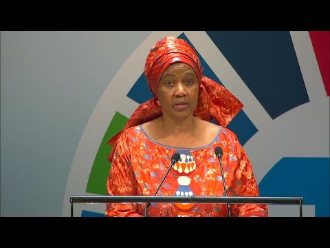 UN Women Director at the Opening of the 64th Session of the Commission on the Status of Women