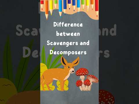 Scavengers and decomposers #education #science #environment #animals #microorganisms #study #biology