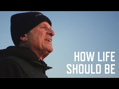 Dave Stearns | How Life Should Be