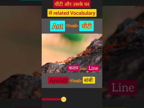Ants और उसके घर से related vocabulary || #shorts #vocabulary
