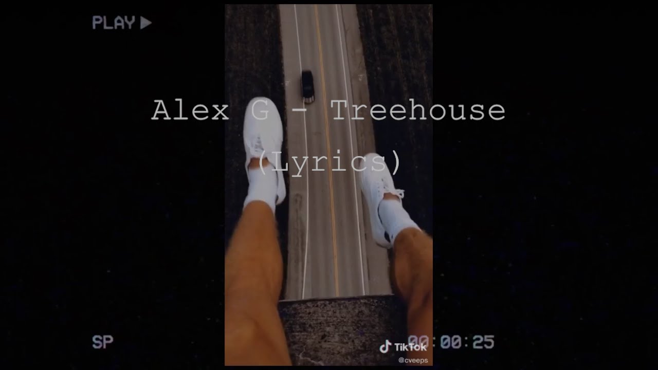 Alex G (Sandy) - Treehouse (TikTok Remix) (Lyrics) 
