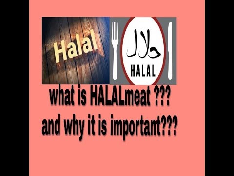 What is HALAL meat in hindi???|why it is important???