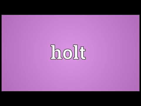Holt Meaning 2