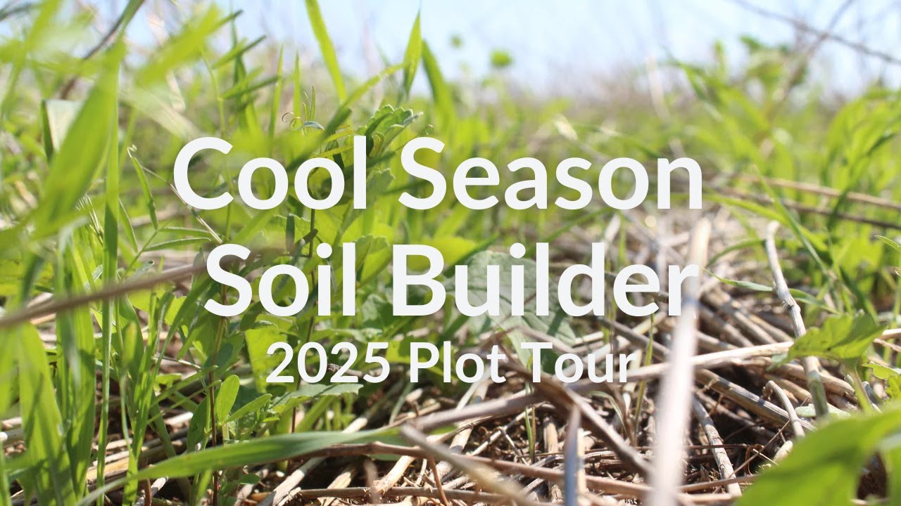 Cool Season Soil Builder - Cover Crop Test Plot Tour 2025