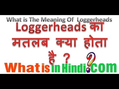 what is the meaning of Loggerheads in hindi | Loggerheads ka matlab kya hota hai