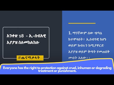 Federal Democratic Republic of Ethiopia (FDRE) Constitution