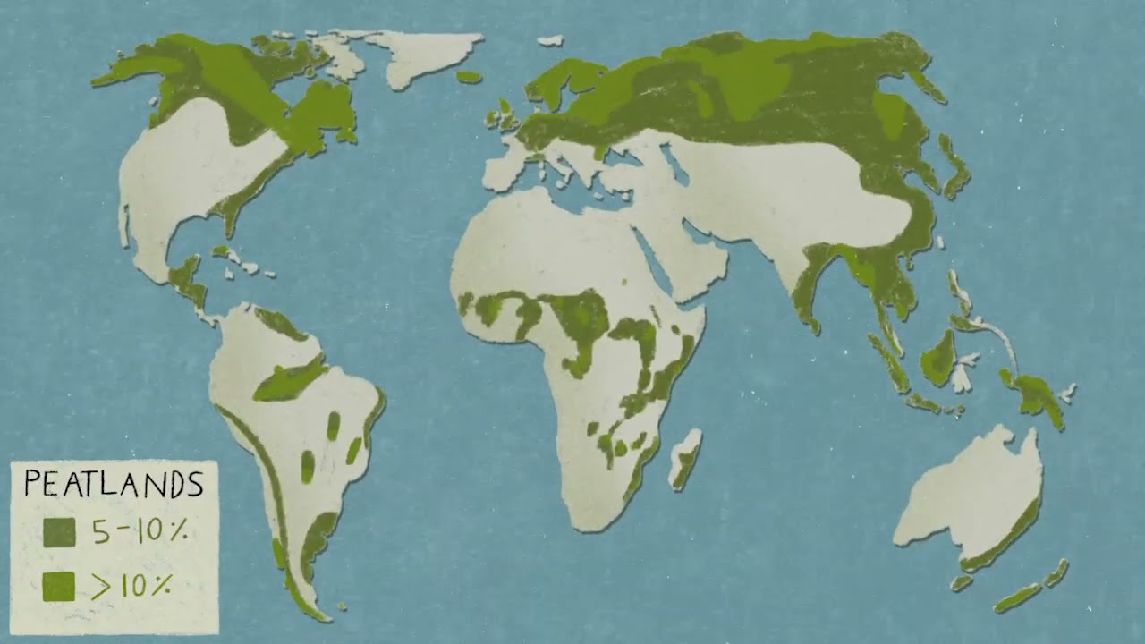 Climate change, peatlands and carbon sequestration -National Parks and Wildlife Service explains all