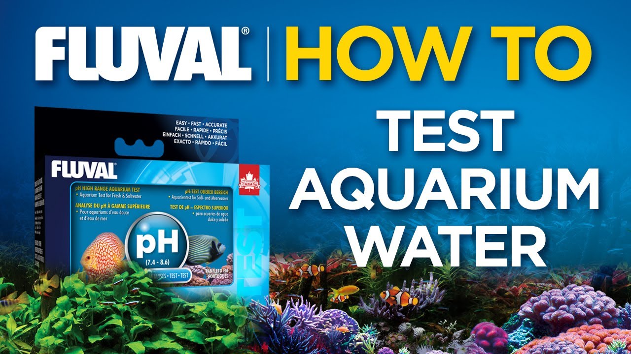 Master Test Kit - Fluval USA
