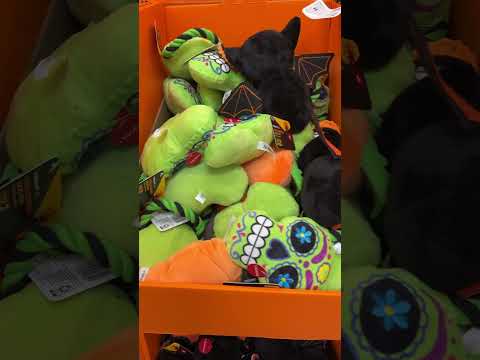 DOG HALLOWEEN COSTUMES AT WALMART #halloween #shopwithme #dogcostume