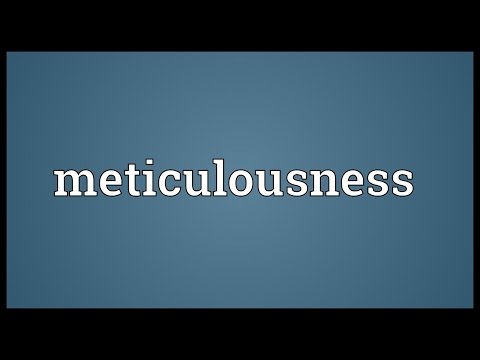 Meticulousness Meaning