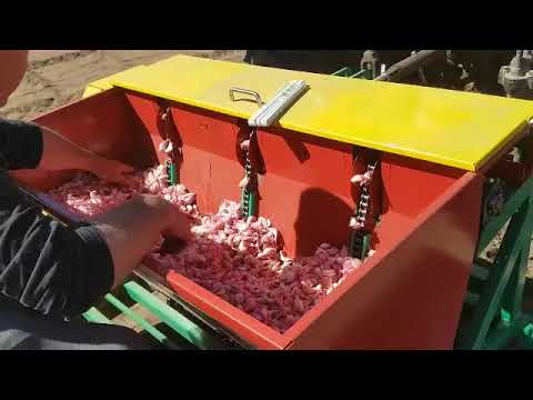 Garlic Planter at Best Price in India