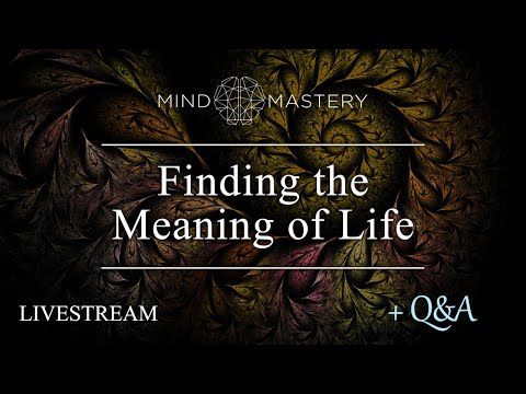 Livestream: Finding the Meaning of Life + Q&A (8pm UK / 3pm EST / 12pm PST)