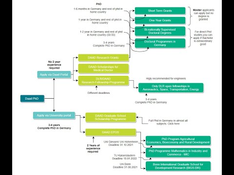 Types of DAAD scholarships and how to apply for DAAD