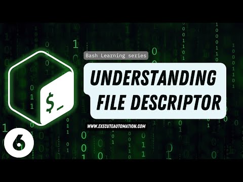 #6 - Understanding File Descriptor in Bash