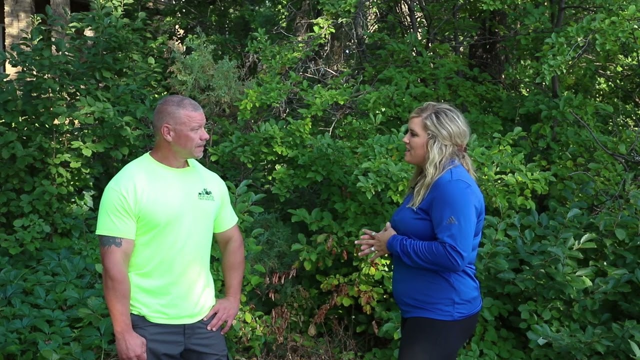 Member Testimonial: Angry Beaver Tree Service (Full)