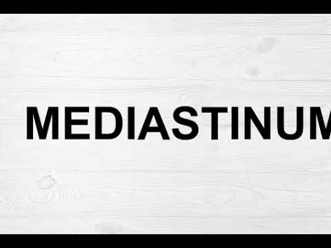 How To Pronounce Mediastinum