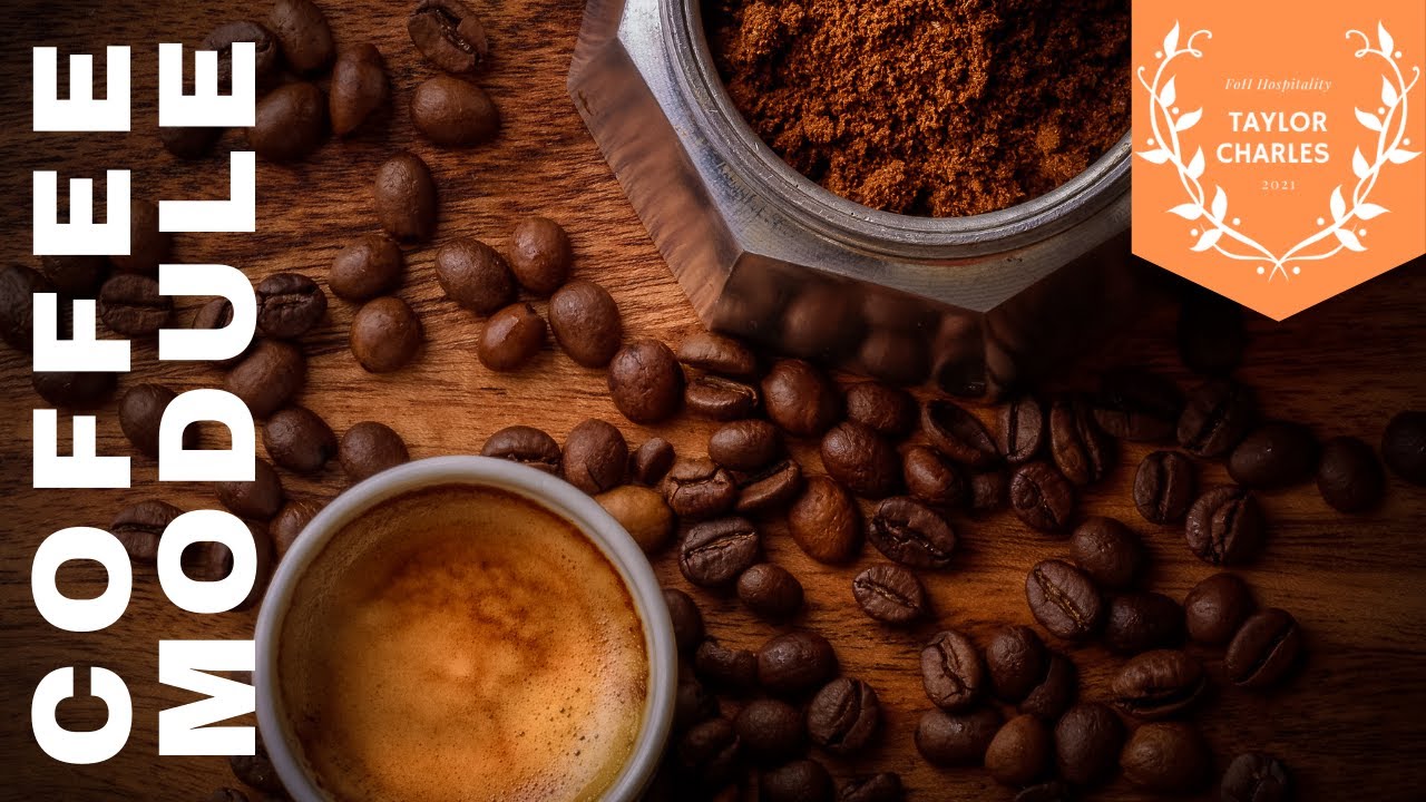 Coffee Module | Lesson - Hospitality Taylor