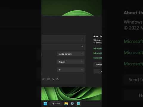 How to Change Font in Windows 11 Notepad [Tutorial]