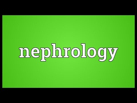 Nephrology Meaning
