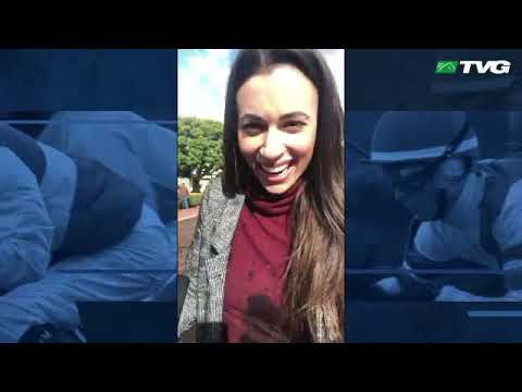 TVG 2019 Year in Review