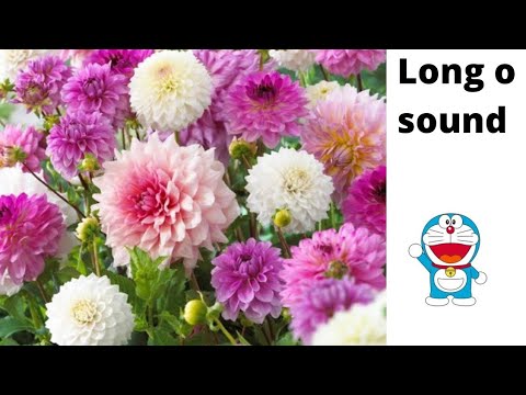 Long O sound Words with pictures