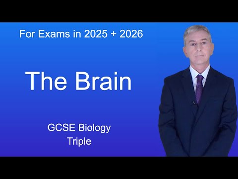GCSE Biology Revision "The Brain" (Triple)