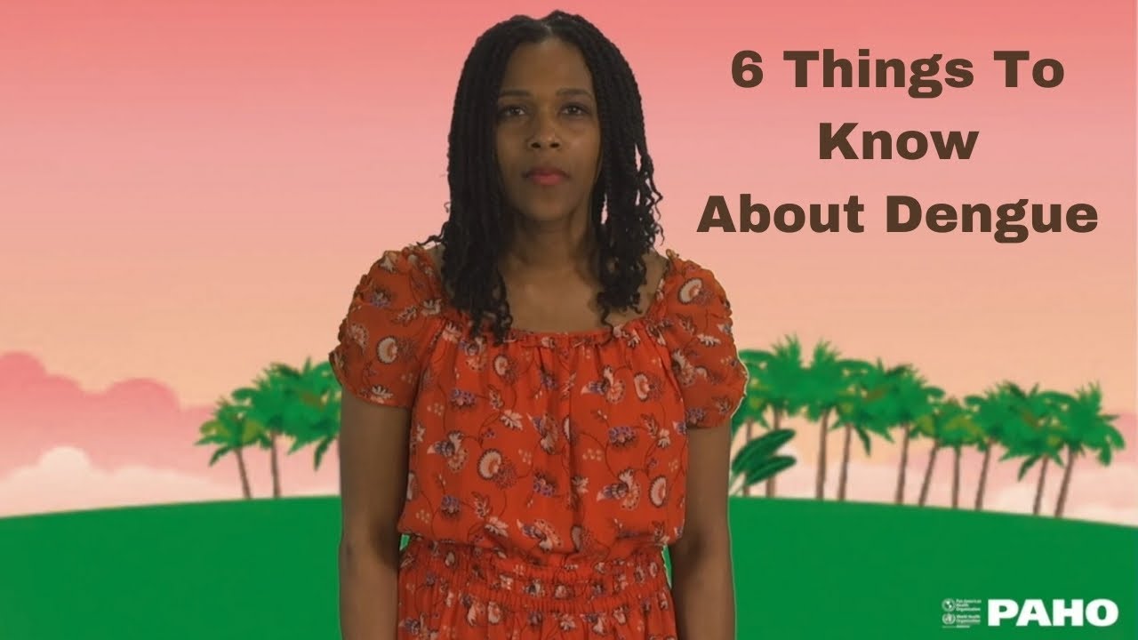 6 Things To Know About Dengue