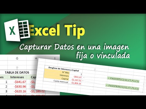 Capturar Datos en una imagen fija o vinculada | Excel Tip