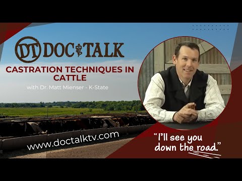 DocTalk Ep 59 - Castration Techniques in Cattle