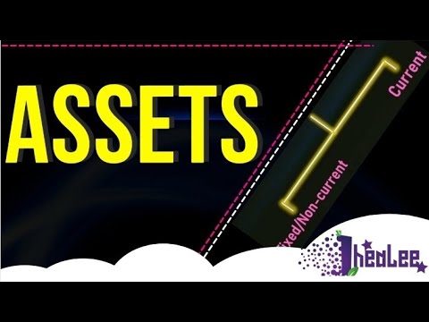 Assets Definition and Examples
