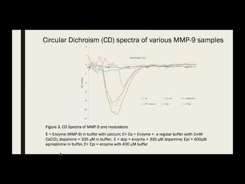 CHARACTERIZATION & BINDING STUDIES OF CATALYTIC DOMAIN OF MMP9 by Bianca Brattoli & Trishauna Gordon
