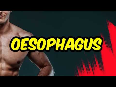 Oesophagus Pronunciation | How To Pronounce Oesophagus