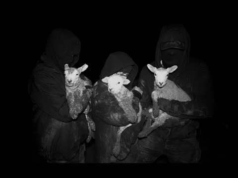 ALF and vivisection Scotland, early 90's, ARNI and vivisection collusion!