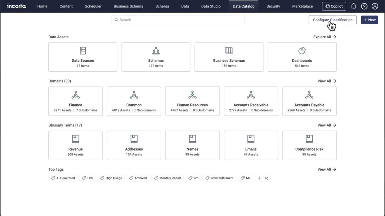 Incorta Data Classification