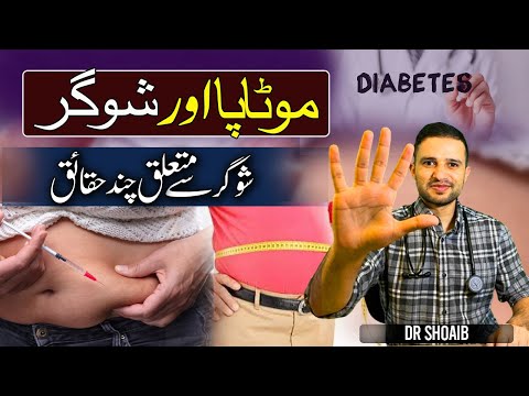 MOTAPA Aur INSULIN Resistance| Motapay Ka Ilaj in Urdu/Hindi | Motapa aur insulin