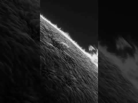 Incredible Close-Up of the Sun’s Surface | Solar Prominence in Motion 🌞 #sunsound #surfaceofsun #exo