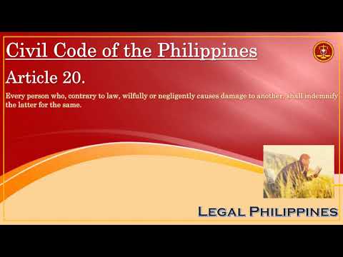 Every Person Must Indemnify Another For Wilful Or Negligent Damage | Civil Code Article 20