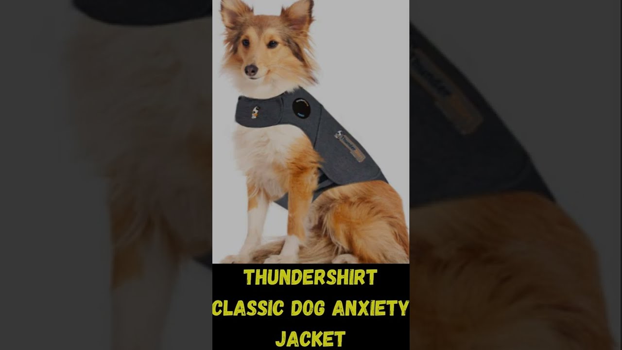 Thundershirt Classic Dog Anxiety Jacket #short #jacket #dog #supplies