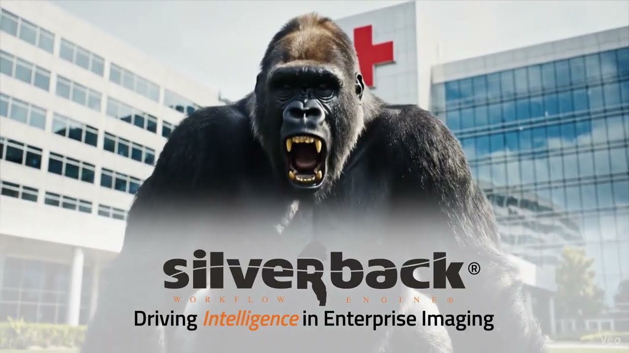 DataFirst's Silverback® Workflow Engine